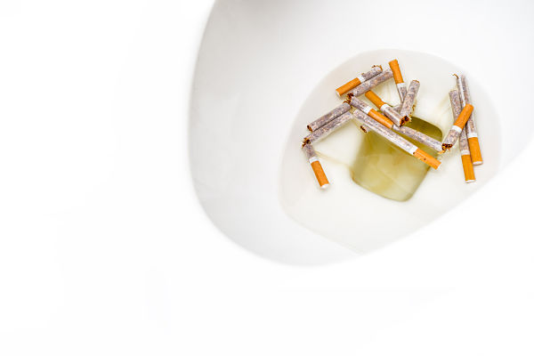 Bust Toilet Myths - Common Items You’ll Regret Flushing